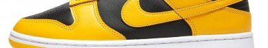 Nike Dunk Low Championship Goldenrod (2021) DD1391-004