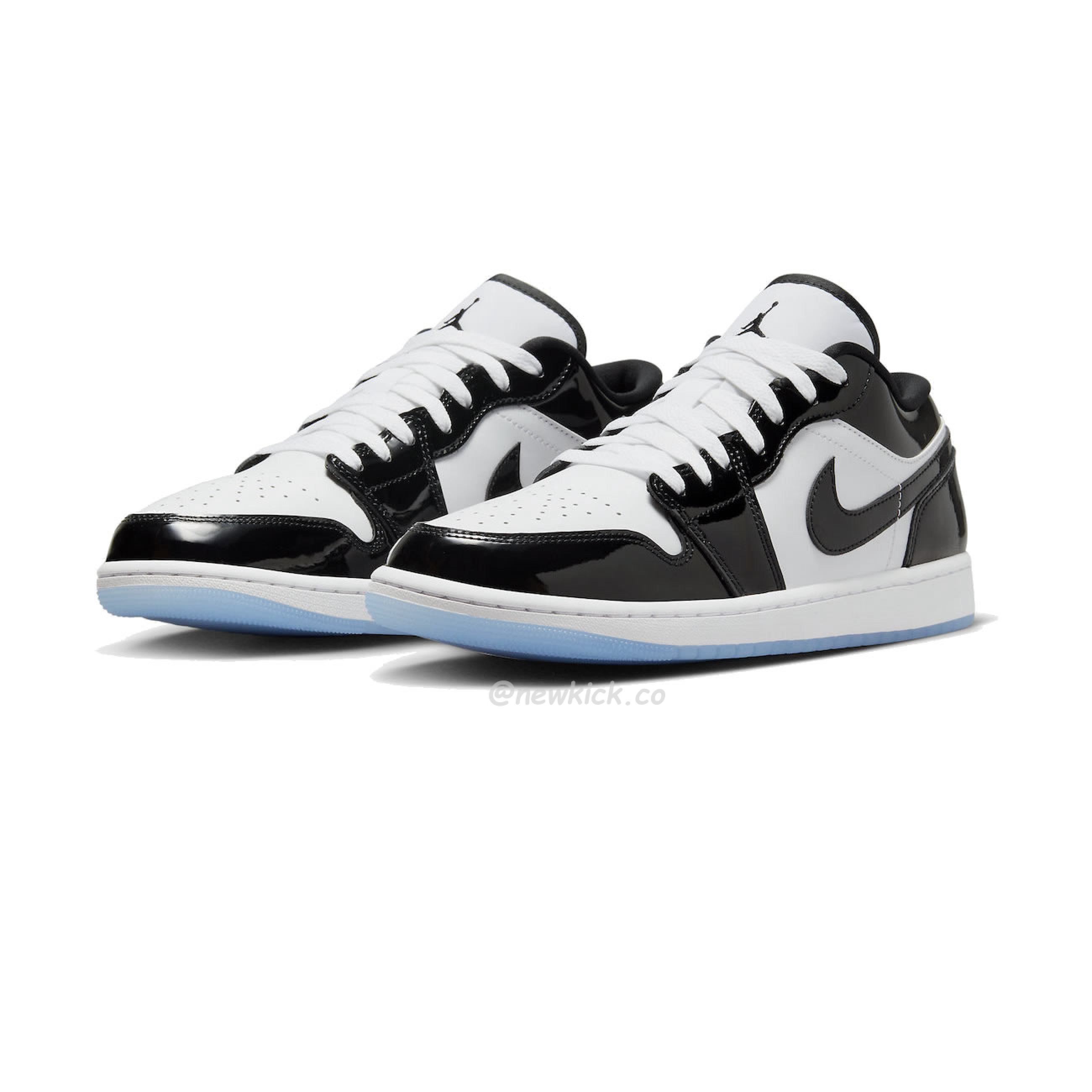 Air Jordan 1 Low SE Concord DV1309-100